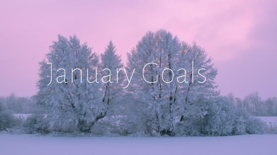 January Goals – Rev Poppy